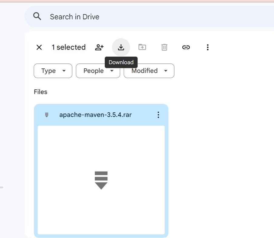 Rigel Software Solution
