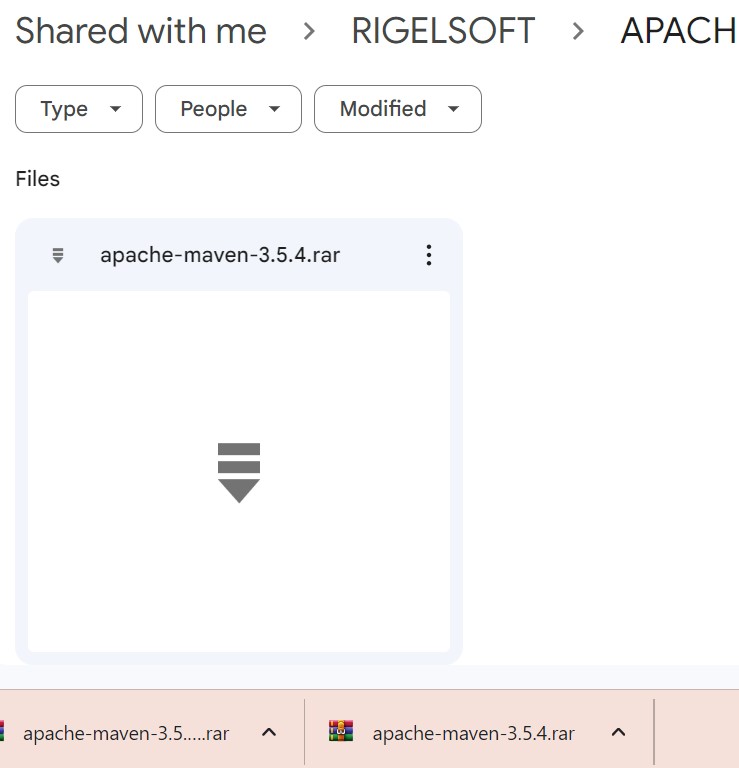 Rigel Software Solution